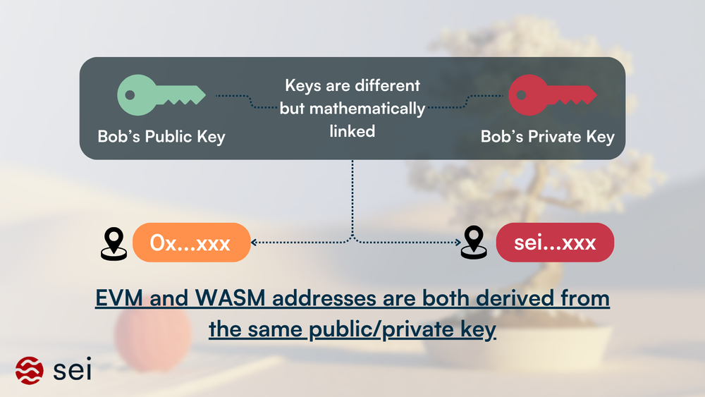 Sei v2: EVM and Wasm interoperability